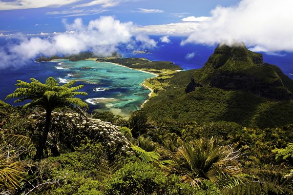 Lord Howe Island Scientific Expedition - Australian Geographic