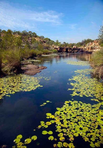 Gallery: Berkeley River In The Kimberley's - Australian Geographic