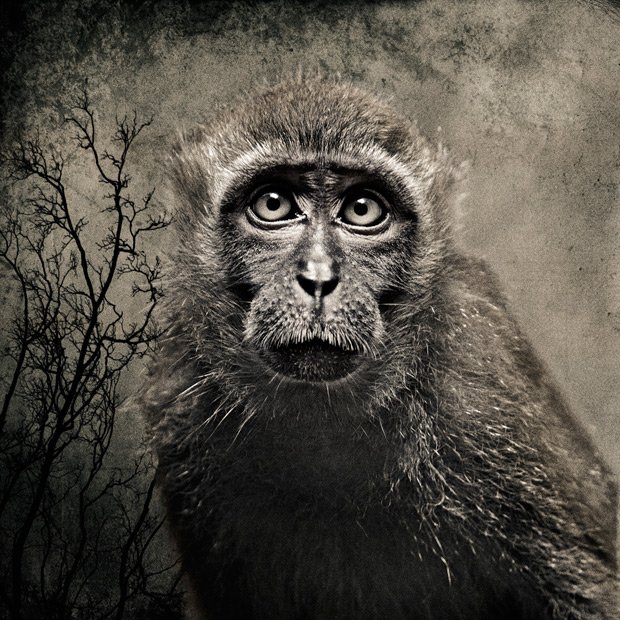 Gallery: Top photography prizes awarded to Australians - Australian ...