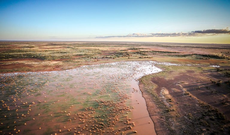 GALLERY: Pullen Pullen Reserve, QLD - Australian Geographic