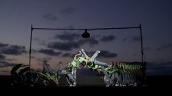 Gallery: Awards for best science and nature photos - Australian Geographic