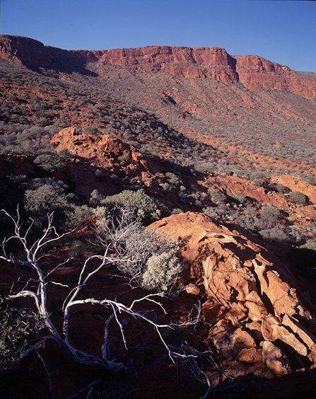 Gallery: Mt Augustus National Park - Australian Geographic