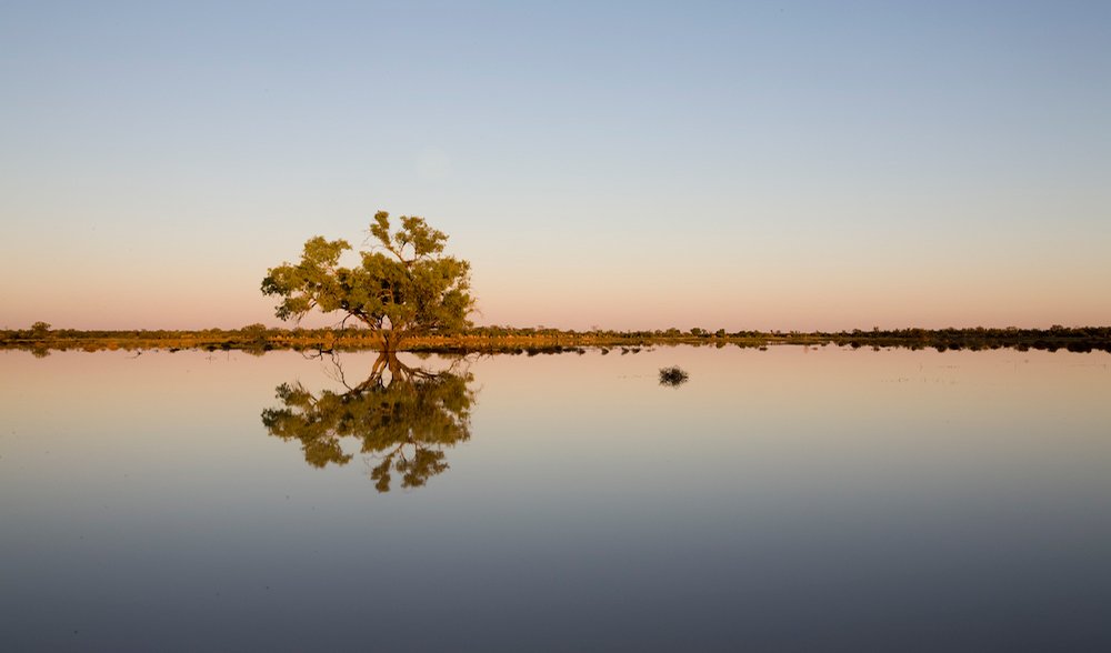 Gallery: Naree, New South Wales - Australian Geographic