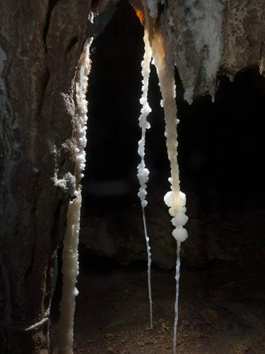 Nullarbor Caves: Australia's hidden world - Australian Geographic