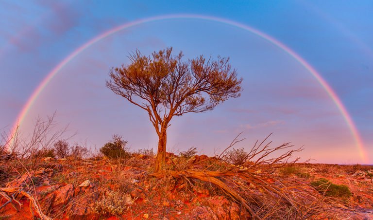 Gallery: Olary Ranges, South Australia - Australian Geographic