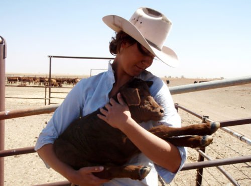 Gallery: Outback Ringers of the Top End - Australian Geographic