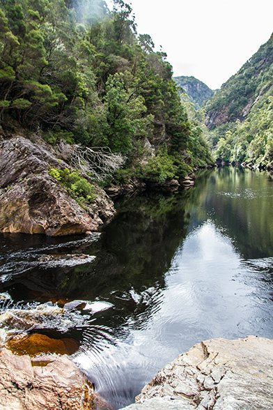Gallery: Rafting Tasmania's Franklin River - Australian Geographic