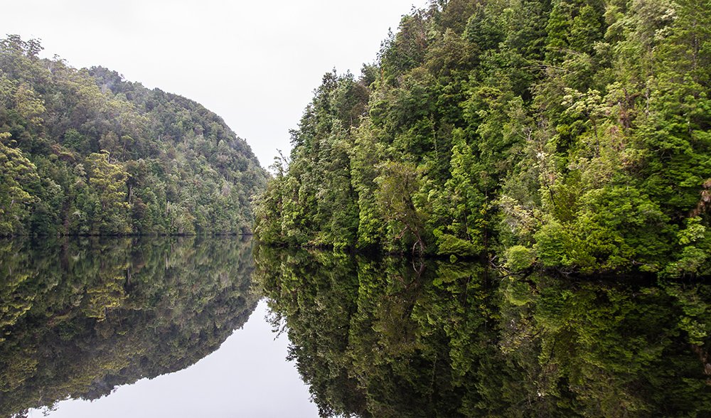 Gallery: Rafting Tasmania's Franklin River - Australian Geographic