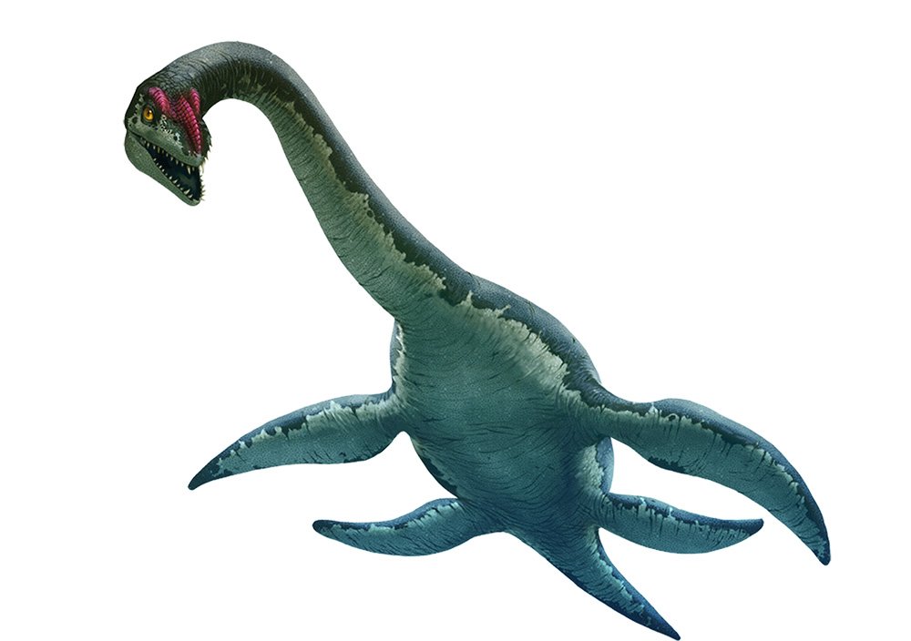 Prehistoric marine creatures: monsters of the deep - Australian Geographic