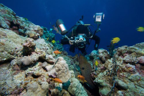 A photographer's guide to the reef - Australian Geographic