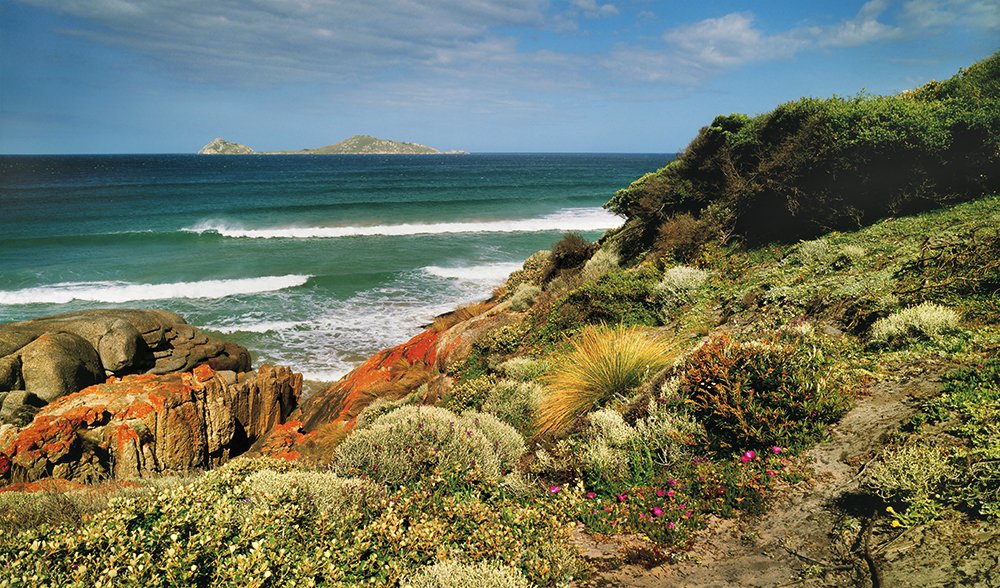 Battle of the bush - Australian Geographic