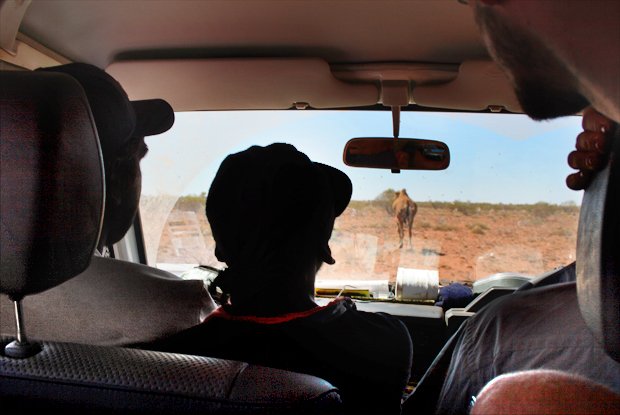 Gallery: Living the traditional Martu life - Australian Geographic