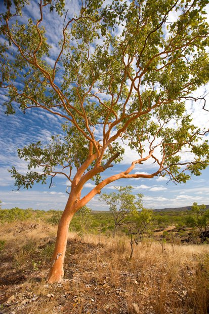 Gallery: Jatbula Trail - Australian Geographic