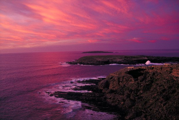 Gallery: The Wild Kangaroo Island - Australian Geographic