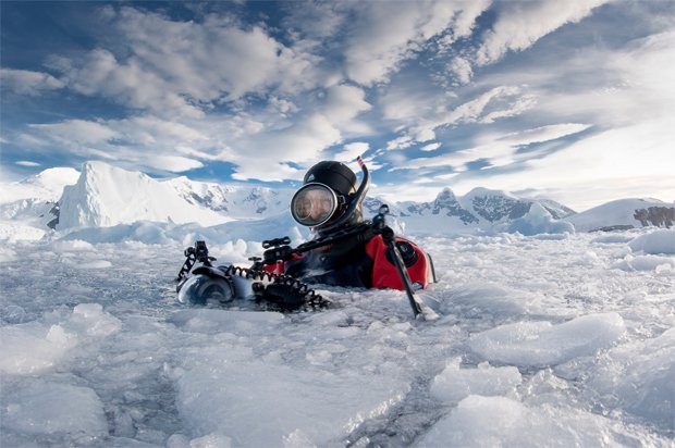 Gallery: Incredible Antarctica photos - Australian Geographic