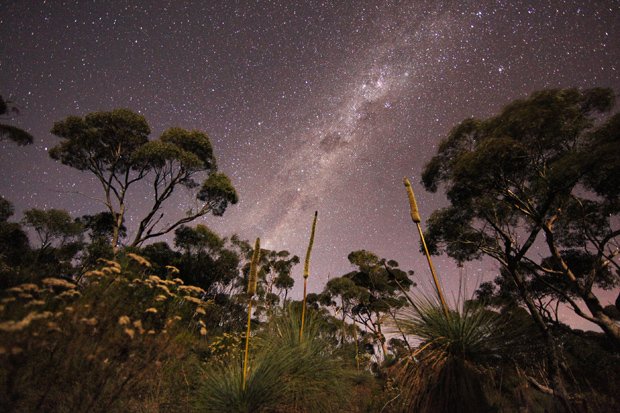 Gallery: The Outback - Australian Geographic