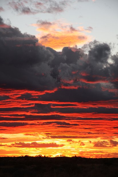 Gallery: The Outback - Australian Geographic