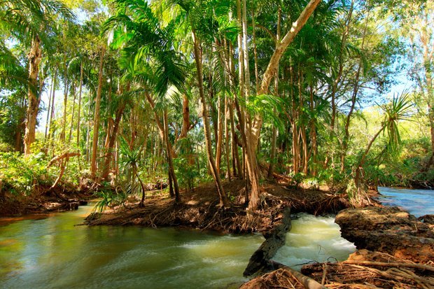 Gallery: The Outback - Australian Geographic