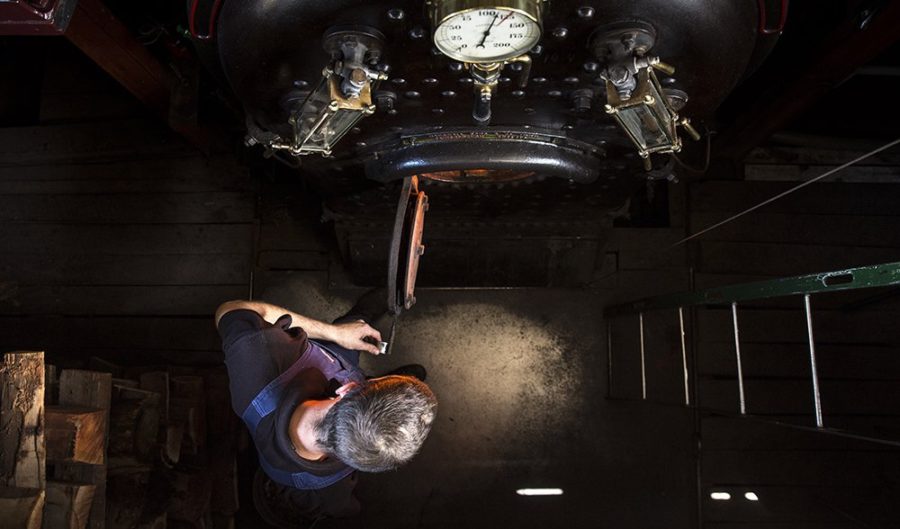 The largest stand of river red gums in the world - Australian Geographic