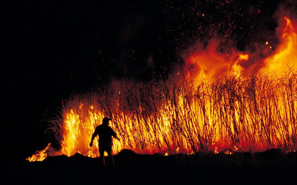 Australia's best: iconic colours of our nation - Australian Geographic