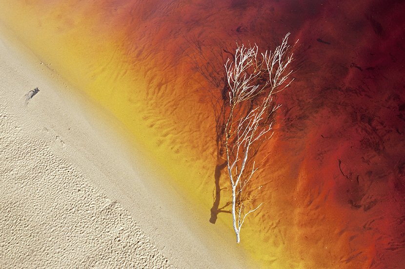 Australia's best: iconic colours of our nation - Australian Geographic