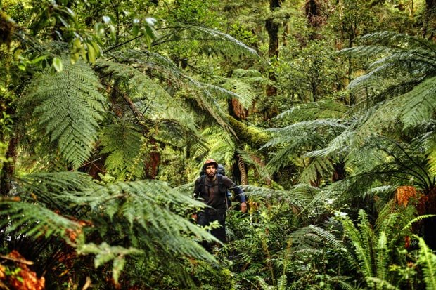 Gallery: Dusky Track New Zealand - Australian Geographic