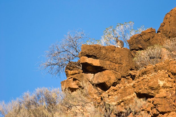 Gallery: Flinders Ranges - Australian Geographic