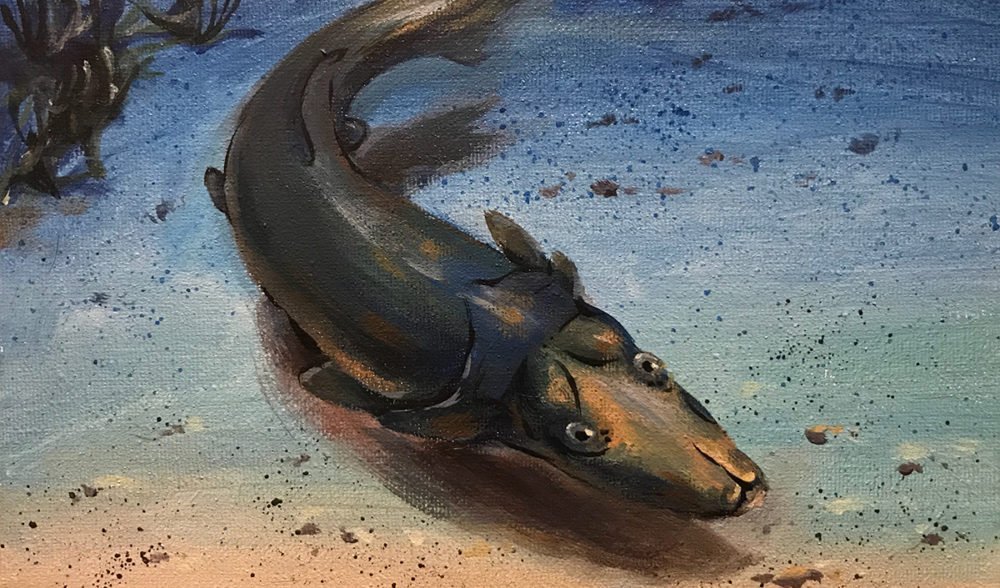 Scientists have discovered a fossil fish with a platypus-like snout ...