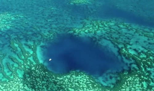 Enormous blue hole discovered in the Great Barrier Reef - Australian ...