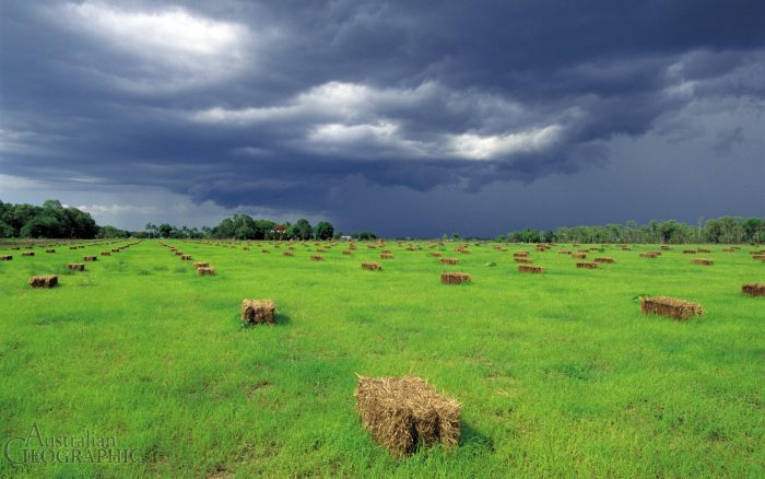 Hay bales, Arnhem Land, Northern Territory - Australian Geographic