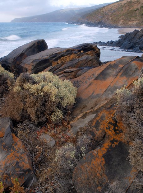 Gallery: Heysen Trail - Australian Geographic