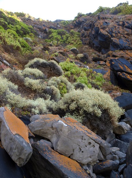 Gallery: Heysen Trail - Australian Geographic
