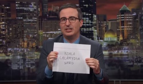 John Oliver has a koala chlamydia ward named after him - Australian ...