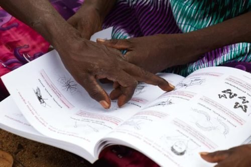 indigenous communication Archives - Australian Geographic