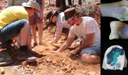 Lightning Ridge Fossil Dig - Australian Geographic