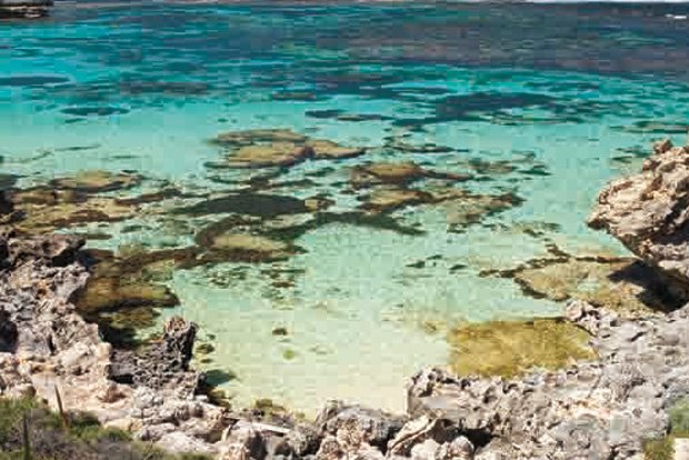 Gallery: Rottnest Island's best beaches - Australian Geographic