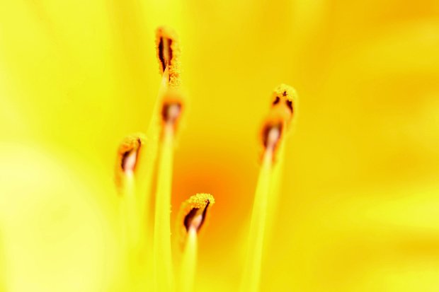 Gallery: Reader photos, caught in the act - Australian Geographic