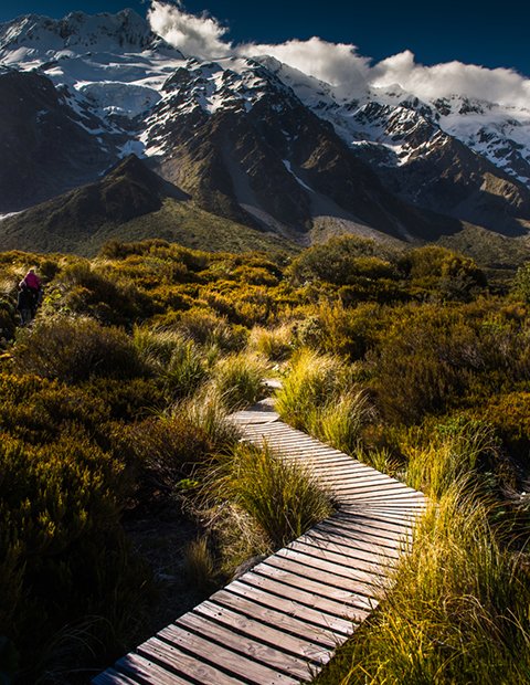 Gallery: Mt Cook and Mackenzie region, NZ - Australian Geographic