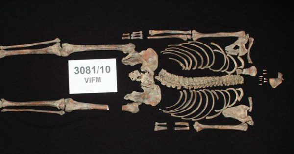 DNA confirms Ned Kelly's remains - Australian Geographic