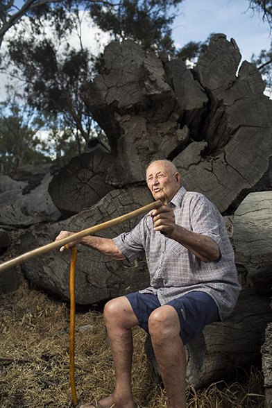The largest stand of river red gums in the world - Australian Geographic