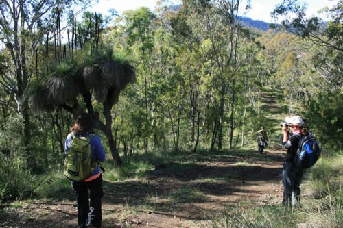 Gallery: Queensland's new Scenic Rim Trail - Australian Geographic