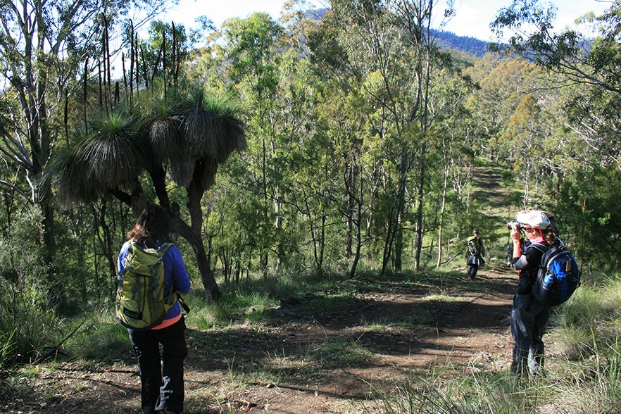 Gallery: Queensland's new Scenic Rim Trail - Australian Geographic