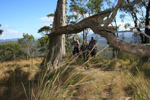 Gallery: Queensland's new Scenic Rim Trail - Australian Geographic