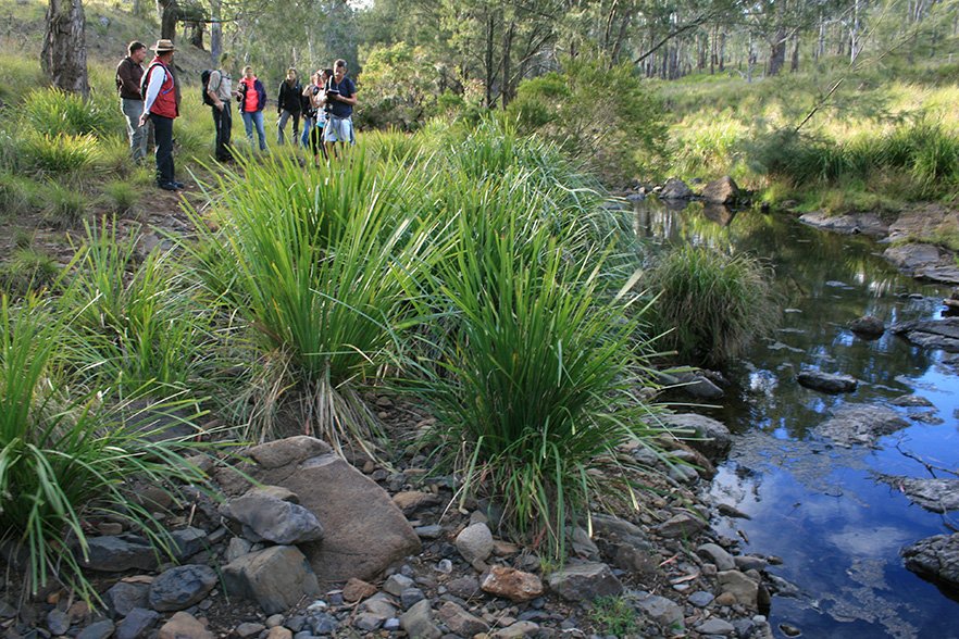 Gallery: Queensland's new Scenic Rim Trail - Australian Geographic