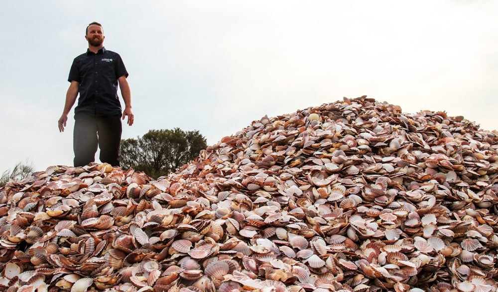 Repurposing seafood shells is helping to save Australia's decimated ...