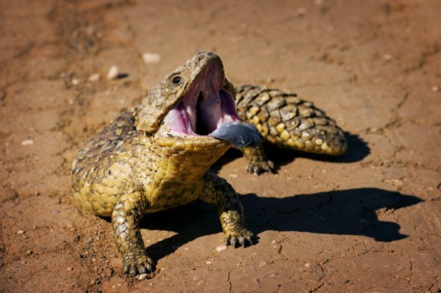 Gallery: Bush and beach escapes - Australian Geographic