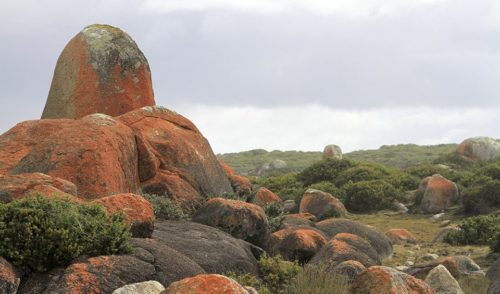 Taking the perfect shot - Australian Geographic
