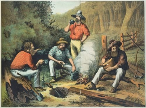 Parrot pie and possum curry – how colonial Australians embraced native ...