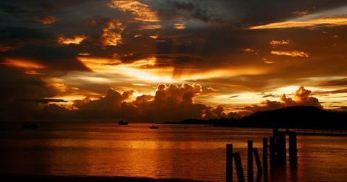 UK returns Torres Strait Islander remains - Australian Geographic