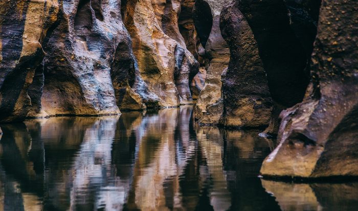 Gallery: Undara Lava Tubes - Australian Geographic